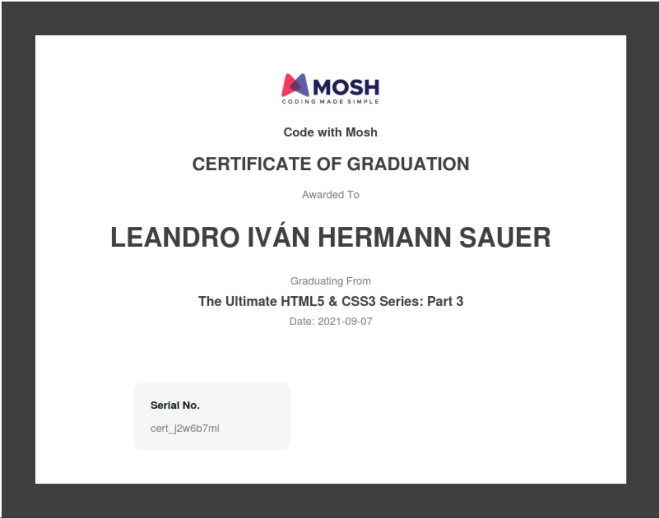 Leandro Hermann Portfolio