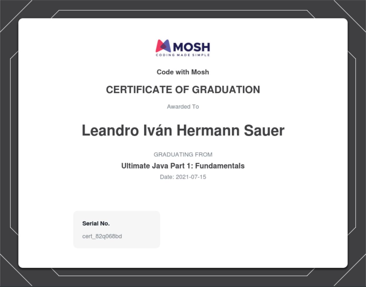 Leandro Hermann Portfolio